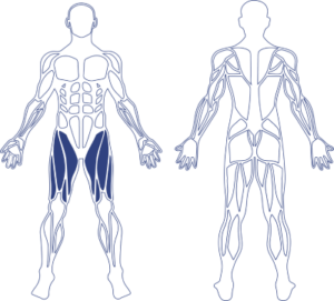 Exercises | GFitness Online