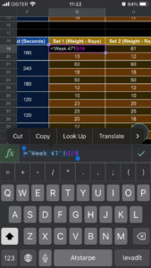 How To Make a Workout Plan in Google Sheets [With Template]